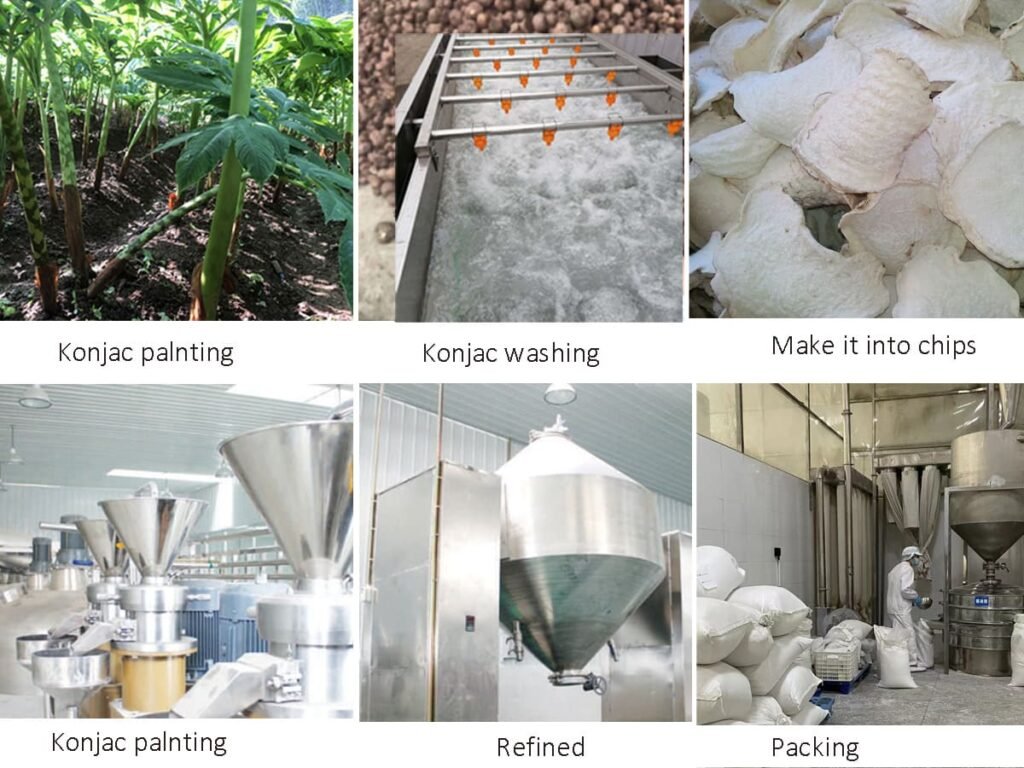 Konjac Powder for Dietary Supplement – Konjacky-China Konjac Food ...